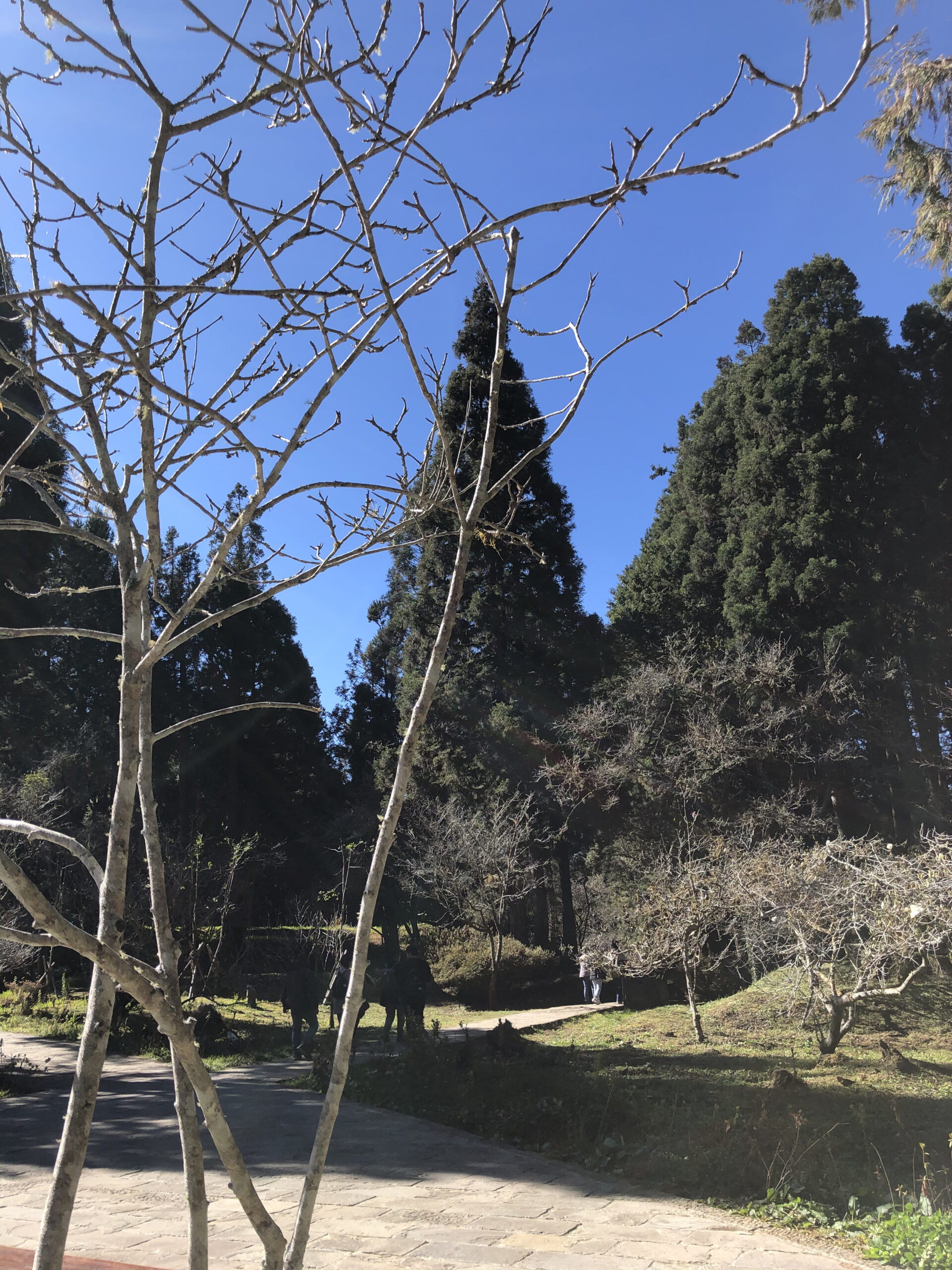 Australia-Taiwan Relationship – Australia Taiwan Culture Foundation